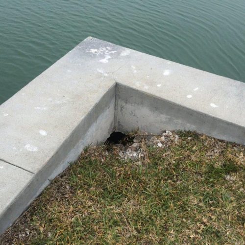 The Definitive Guide to Bulkhead Repair & Reversing Seawall Erosion