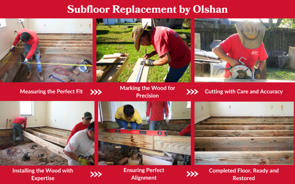 Olshan Wood Subfloor Repair & Replacement in TN & AR, MS
