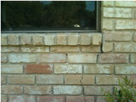 Identifying Swelling Soils | Olshan Foundation Repair